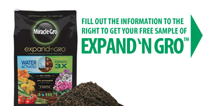 FREE Sample of Miracle Gro Expand 'N Gro