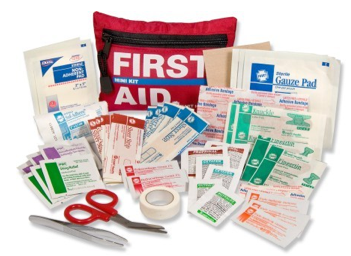 REI.com: Hart Mini First Aid Kit Only $5.23 Shipped