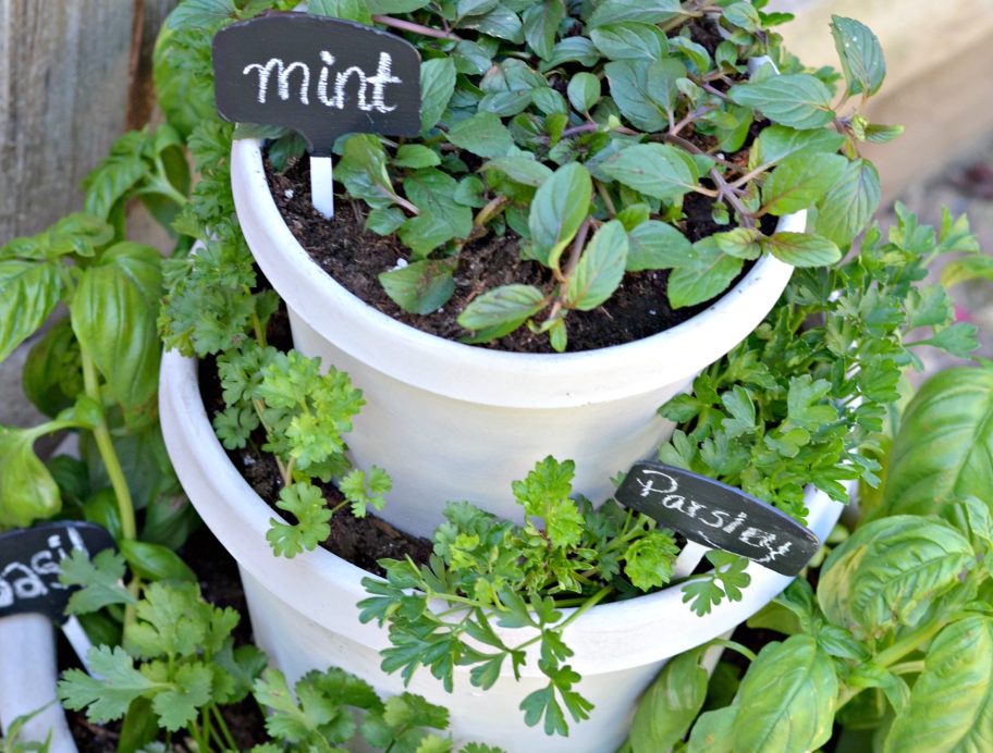 DIY Stacked Herb Garden - Growing Herbs at Home | Hip2Save