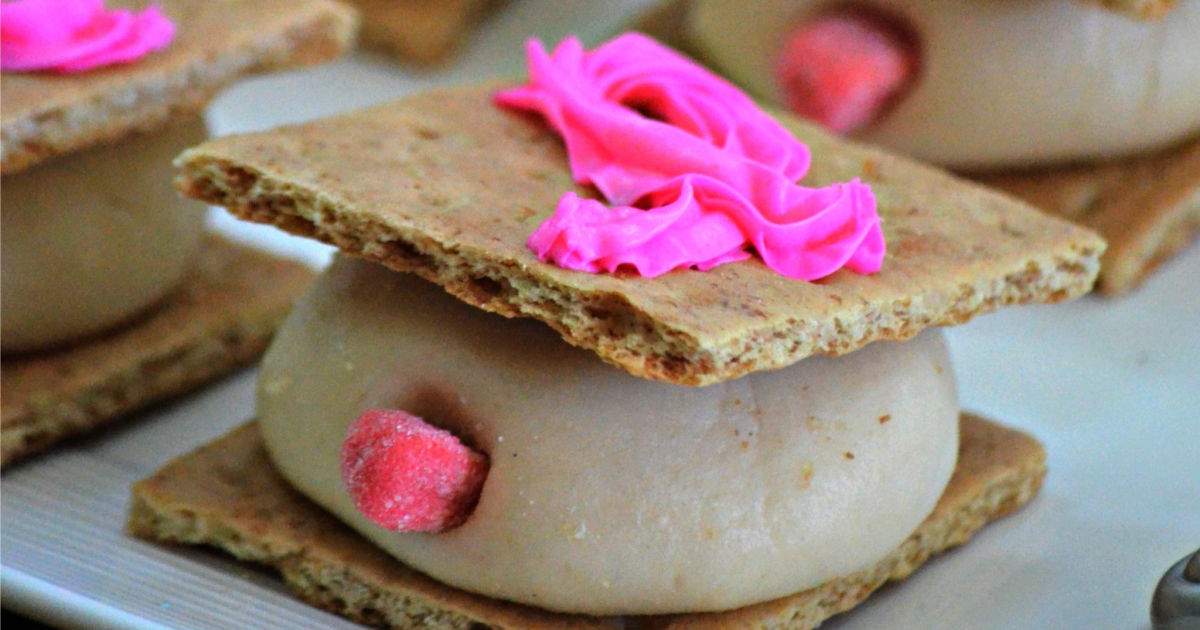 Mammo-Grahams (Breast Cancer Awareness Treat) | Hip2Save