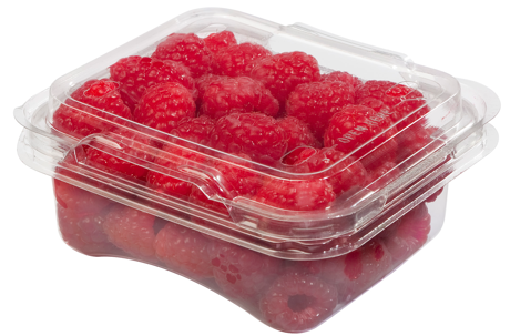 Meijer: Fresh Rasperries 6oz Containers 50¢ Each