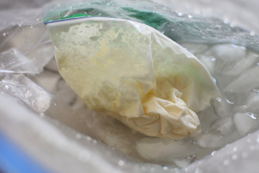 How to Make Ice Cream In a Bag | Hip2Save