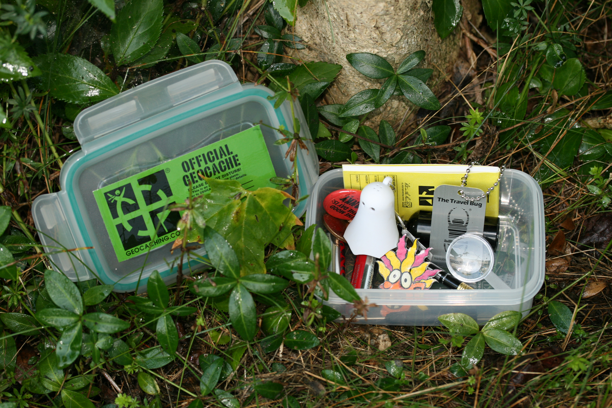 Geocaching: FREE Real-World Outdoor Treasure Hunt (Fun Activity for the ...