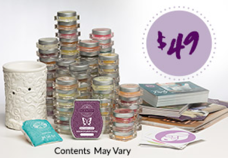 Scentsy Starter Kit ONLY $49