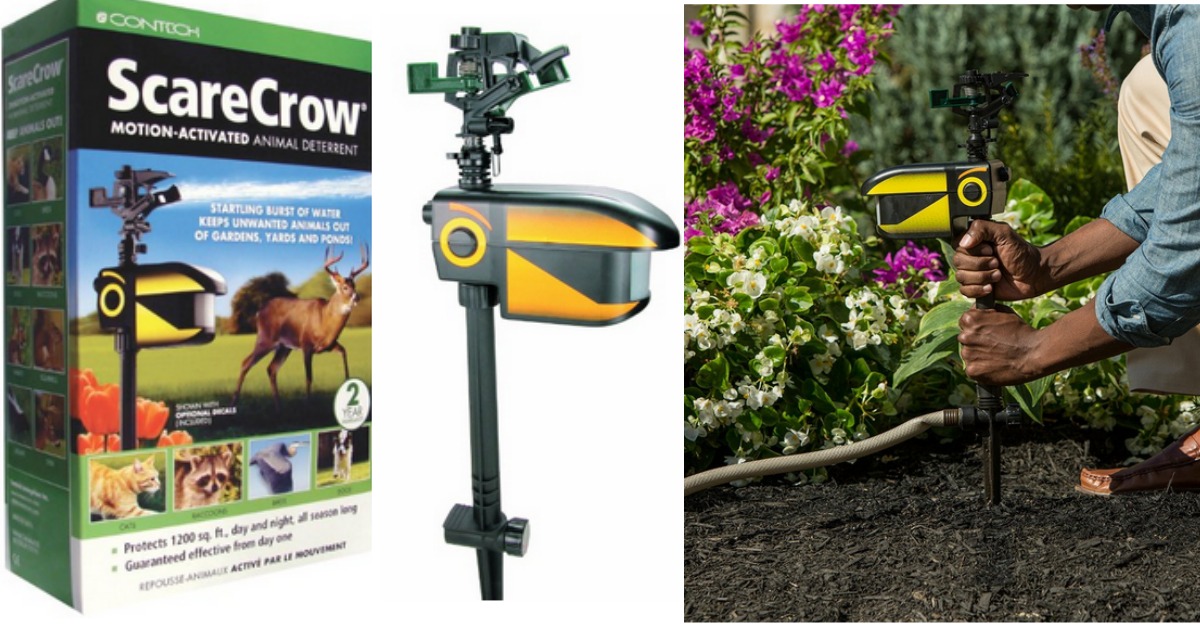 Amazon: ScareCrow Motion Activated Animal Repellent Only $38 (Regularly ...