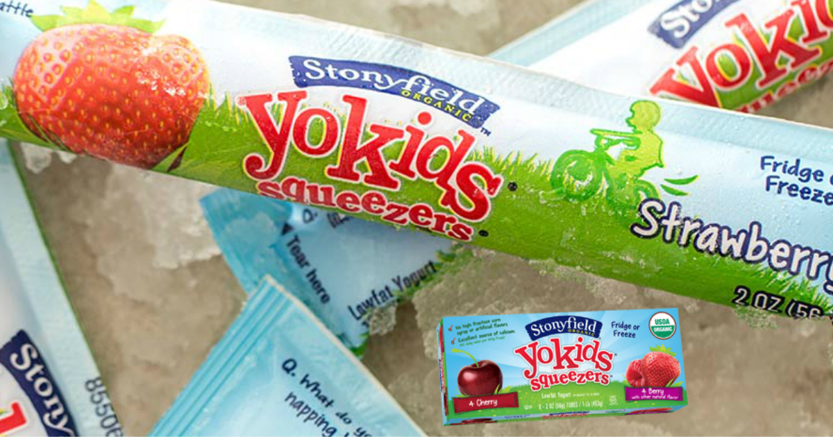 Target: Stonyfield YoKids Organic Yogurt Squeezers Only $1.50 (After ...
