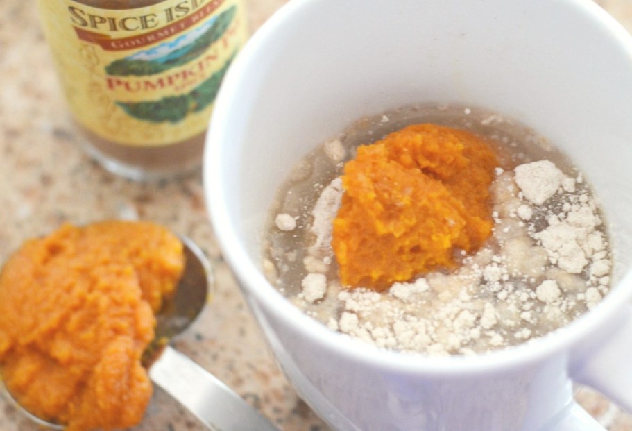 The Easiest Pumpkin Spice Mug Cake Recipe | Hip2Save