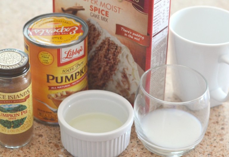 The Easiest Pumpkin Spice Mug Cake Recipe | Hip2Save