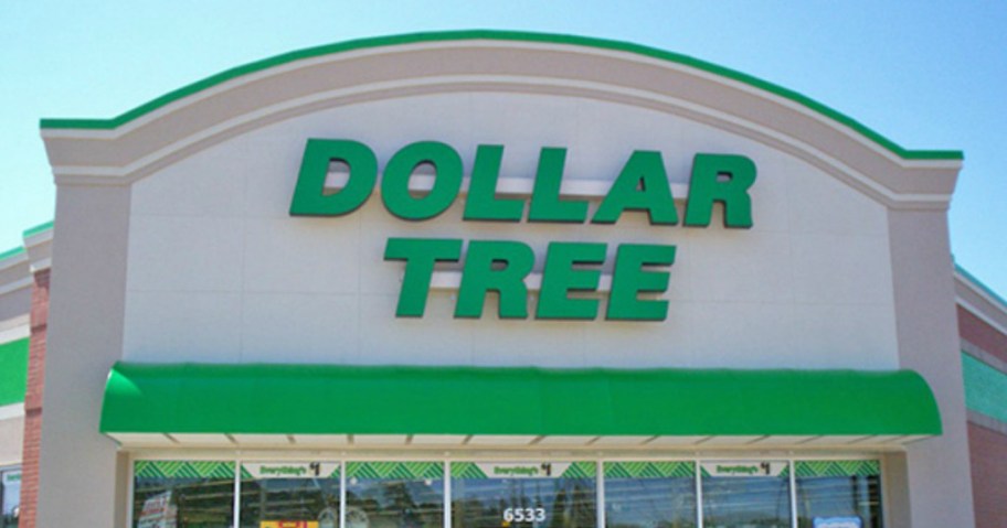 2025 Dollar Tree Price Increase - Here's What To Know!