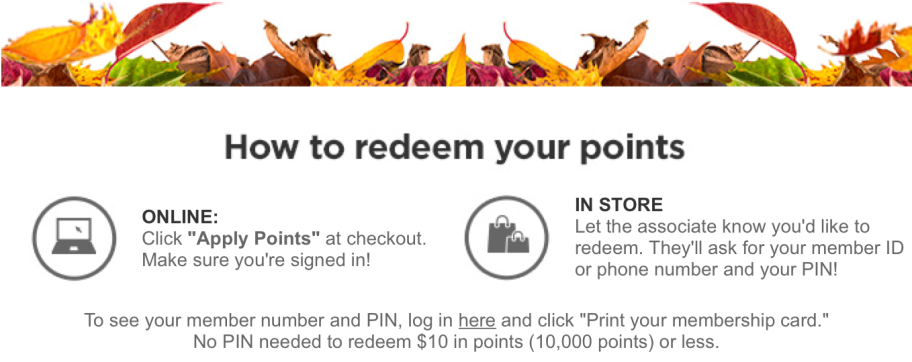 Shop Your Way Rewards Program: Everything You Need to Know (& Why It ...