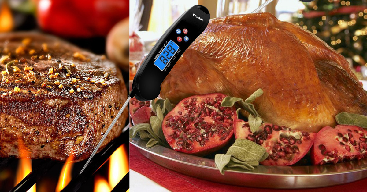 Amazon: Digital Talking Meat Thermometer Only $9.93 (Regularly $26.99)