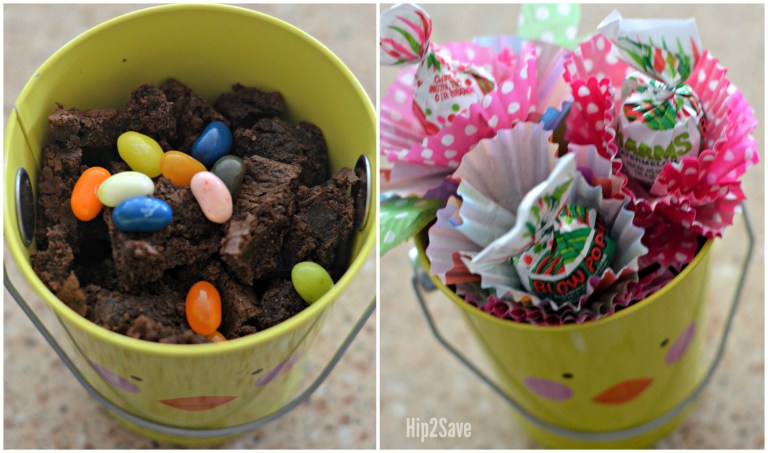 How to Grow Lollipop Flowers from Jelly Beans