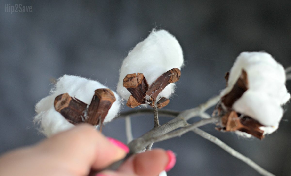 Make Trendy Cotton Stem Branches for Pennies • Hip2Save