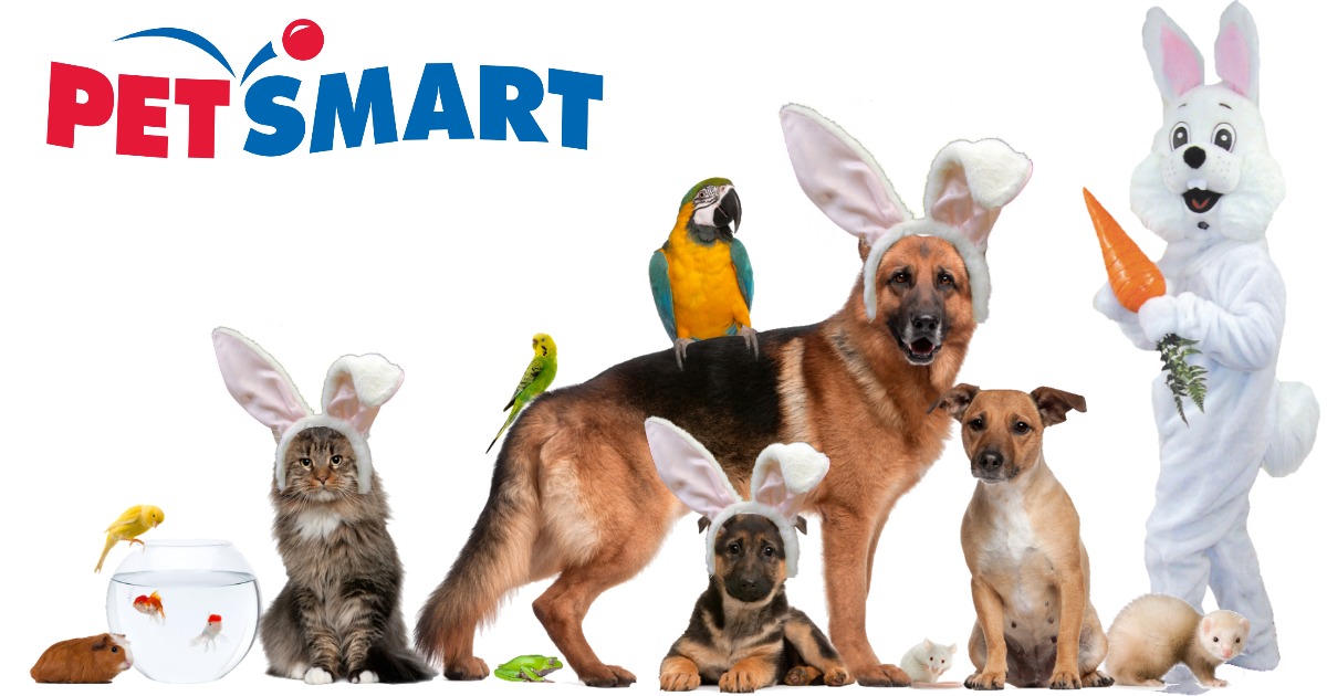 PetSmart: Free Photo Of Your Pet With the Easter Bunny (April 8th)