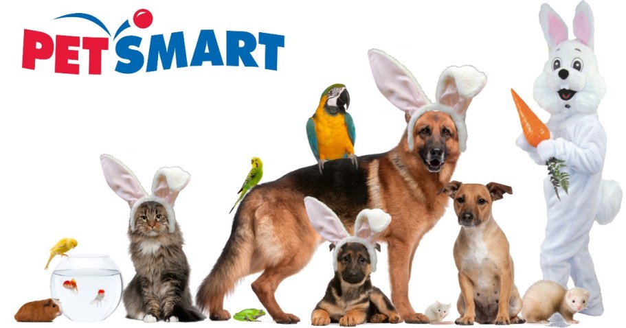 PetSmart: Free Photo Of Your Pet With the Easter Bunny (April 8th)