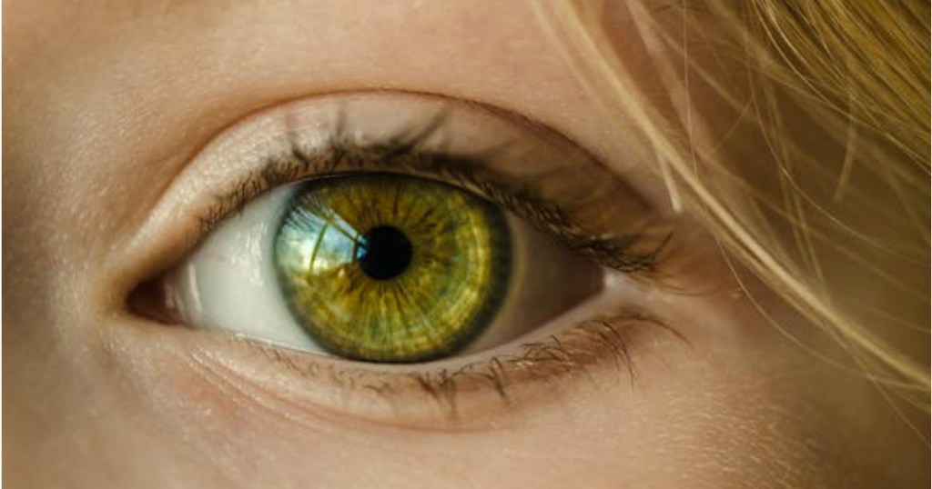 FREE Online Eye Exam Contact Prescription 40 Value free-online-eye-exam-contact-prescription-40-value