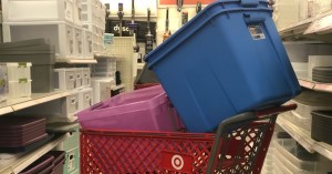 Target Storage Sale | Large 20-Gallon Totes Just $6 + More! | Hip2Save