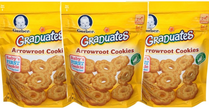 Amazon Family: Gerber Graduates Arrowroot Cookies 4-Pack Only $4.85 ...