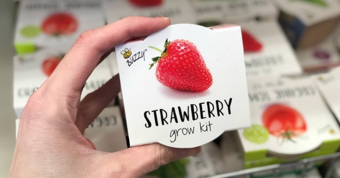 Target: Kids Gardening Supplies Starting at Just $1