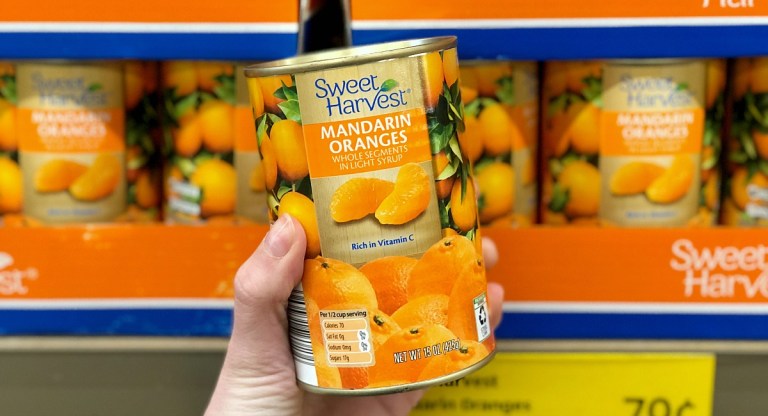 15 Best ALDI Snack Foods to Buy That'll Save You Money | Hip2Save