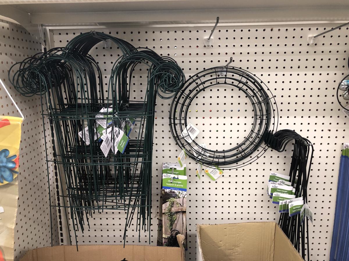 Get Ready for Spring at Dollar Tree! Grab 25¢ Flower Seed Packets, $1 ...