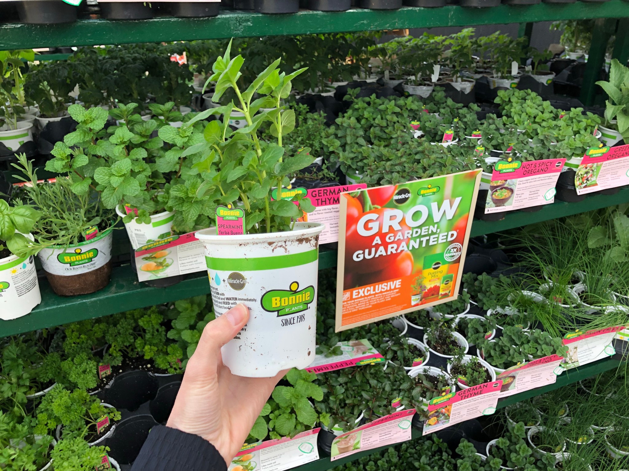 Home Depot Return Policy 101 | Appliances, Exclusions, & More!