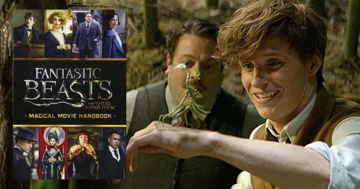 Amazon: Fantastic Beasts and Where to Find Them Magical Movie Handbook ...
