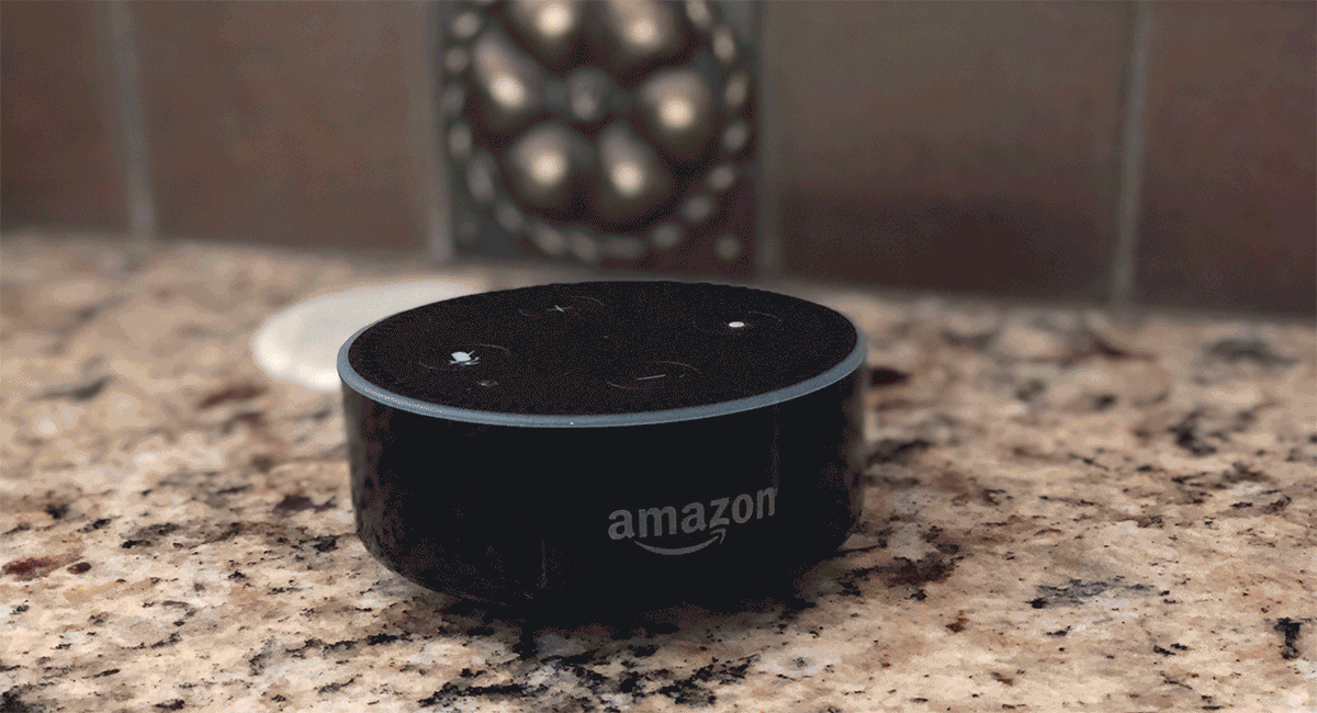 Awesome Things Alexa Can Do For You • Hip2Save