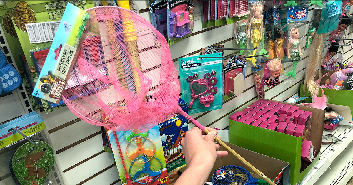 Have Some Frugal Fun in the Sun with These Dollar Tree Pool Products ...