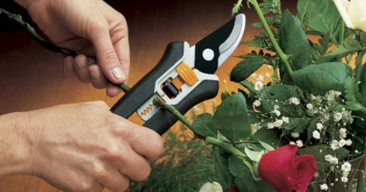Walmart: Fiskars Softgrip Floral Pruning Shears Only $4.59 (Regularly $10+)