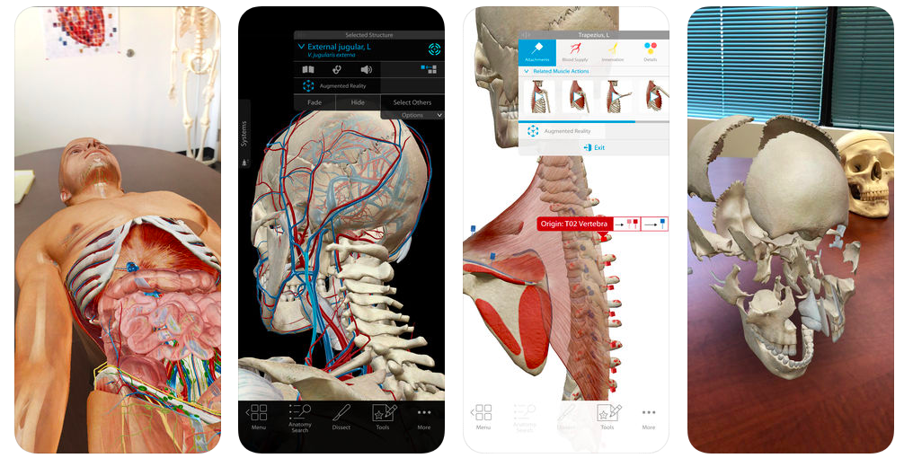 Human Anatomy Atlas 2018 3D Human Body App Just 99¢ on Google Play