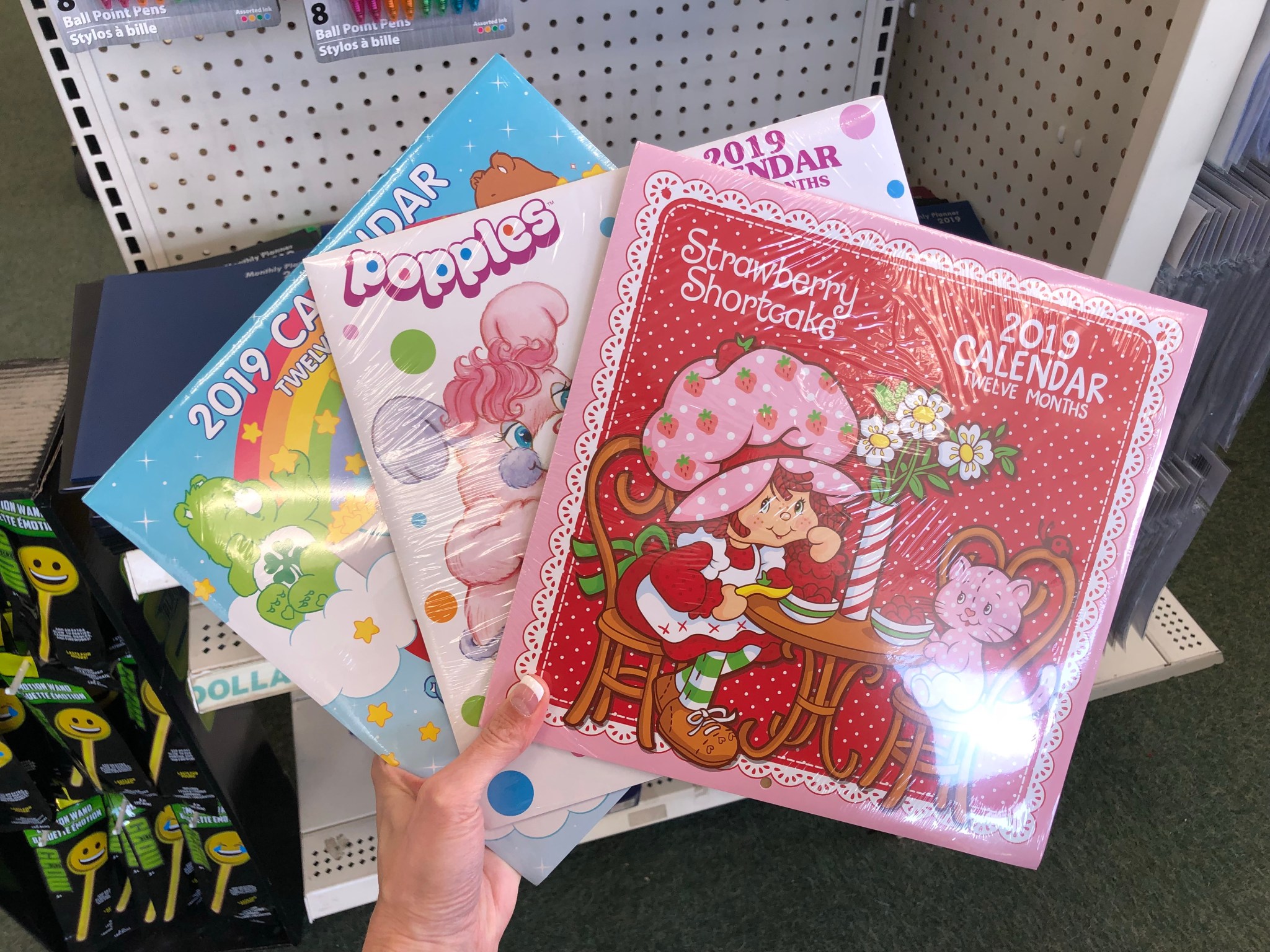 Monthly Planners & Calendars Only $1 at Dollar Tree