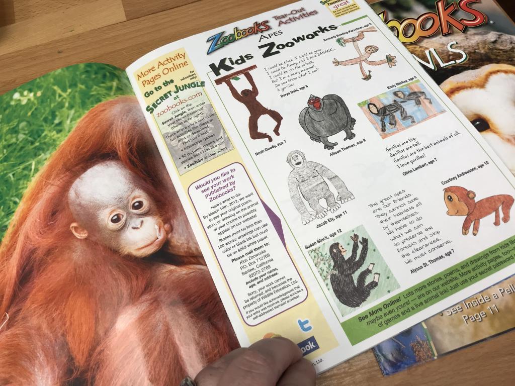 Up to 75% off Zoobooks & Zoobies Magazine Subscriptions | Hip2Save