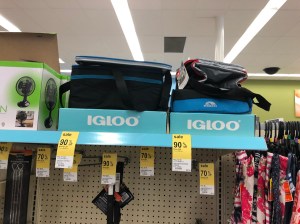90% Off Summer Clearance at Walgreens (Big Mouth Pool Floats, Igloo ...