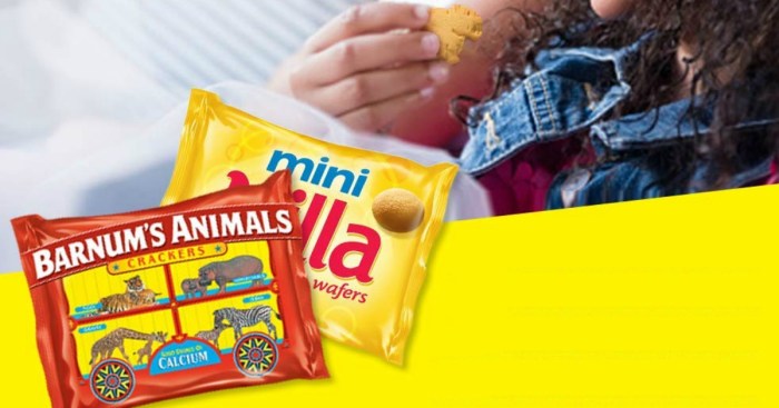 Amazon: Nabisco Fun Shapes Cookie & Cracker Mix 20 Count Bags Only $6. ...