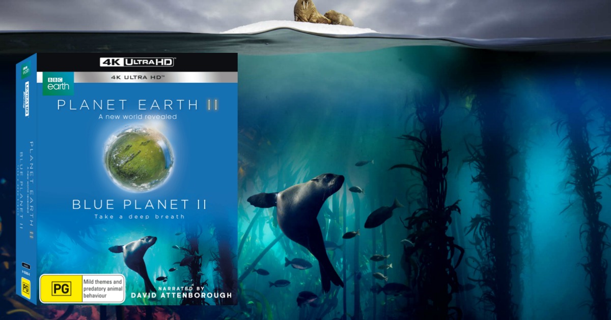 Planet Earth II AND Blue Planet II 4K UltraHD Blu-ray Combo Collection ...