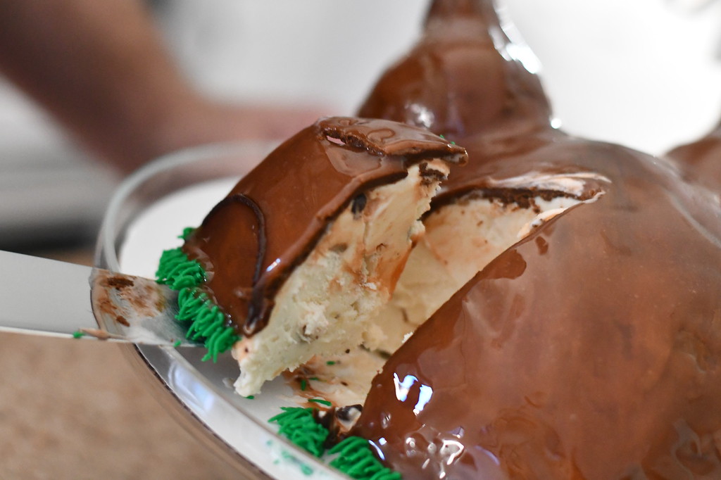 Gobble Till You Wobble with this Baskin Robbins Turkey Cake | Available ...
