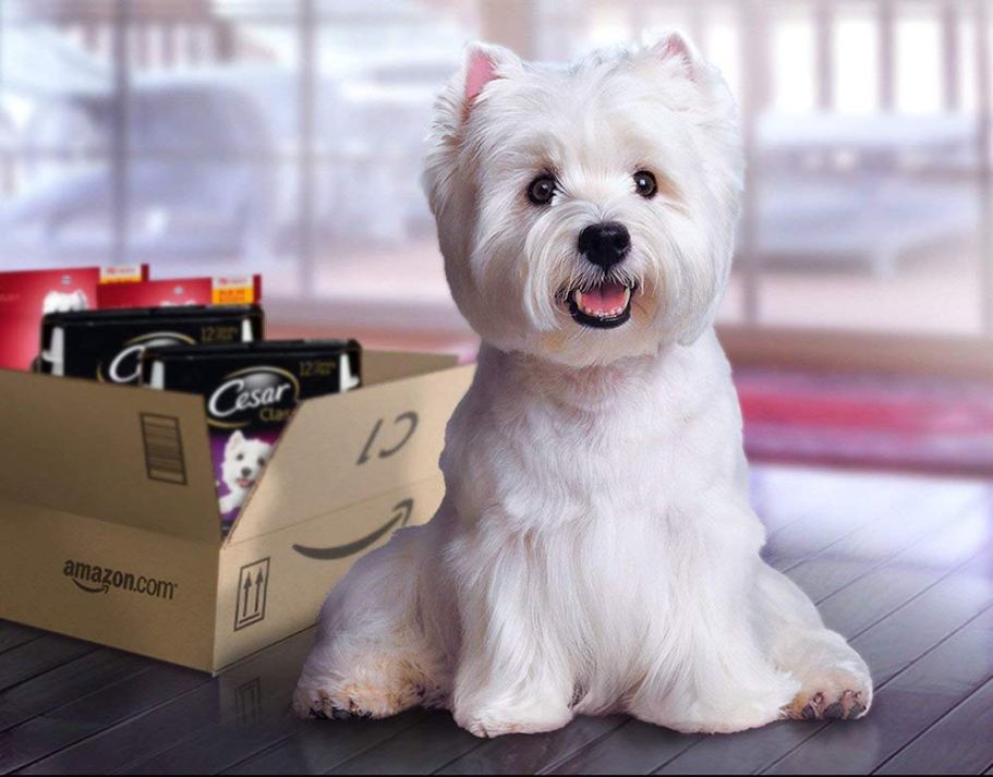 Up to 35% Off Sheba Cat Food & Cesar Dog Food on Amazon