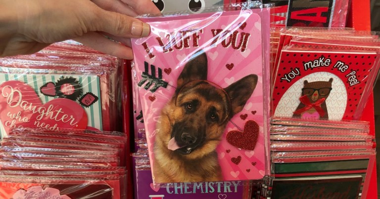 Dollar Tree Valentine's Day Finds - Only $1 Each (Greeting Cards, Party ...