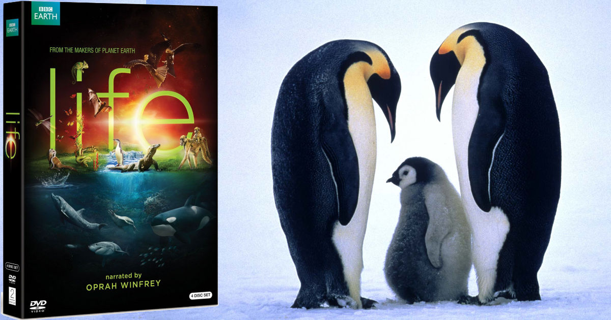 BBC Earth Life Gift Set Narrated by Oprah Winfrey on DVD or Blu-ray ...