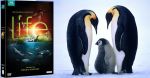 BBC Earth Life Gift Set Narrated by Oprah Winfrey on DVD or Blu-ray ...