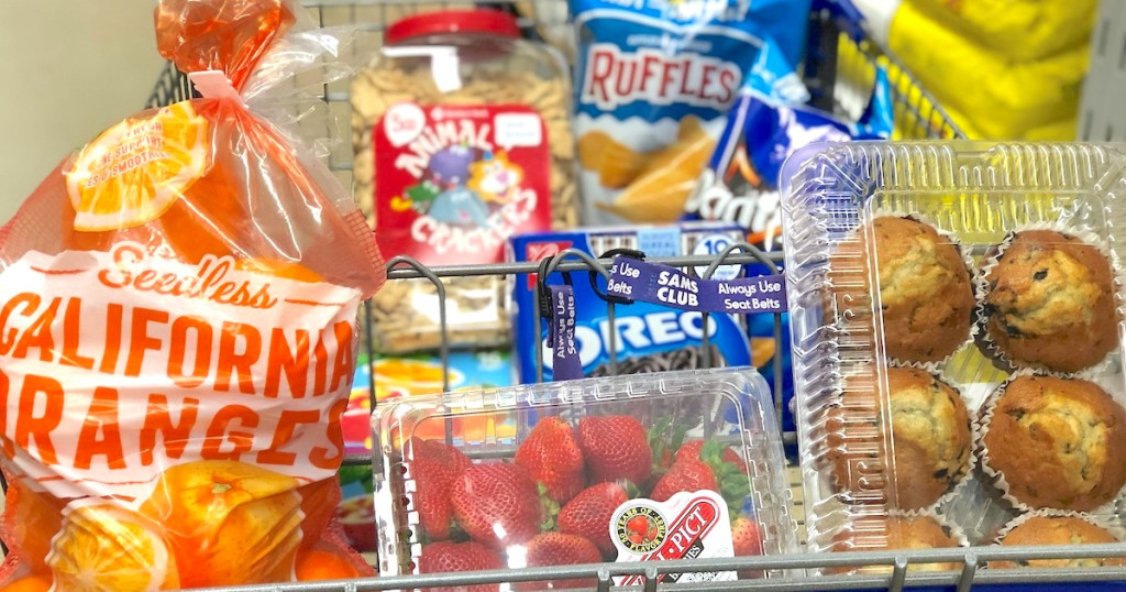 Up to $50 in FREE Grocery Items for SNAP Users in November | Hip2Save