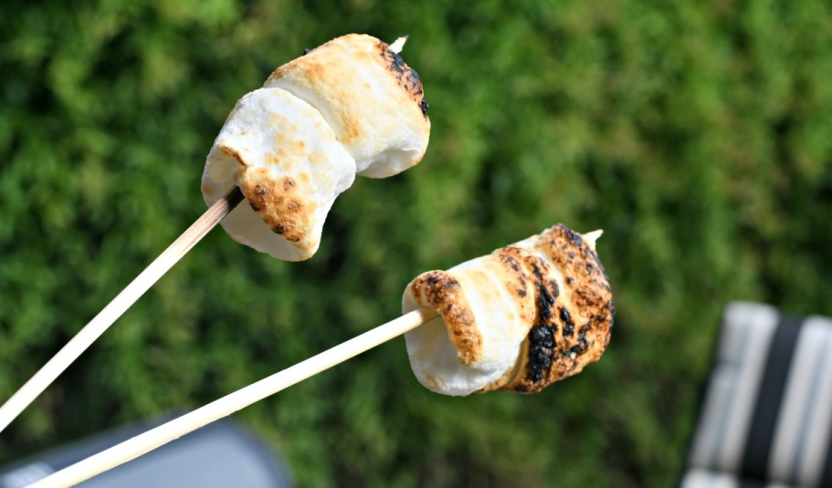 Campfire S'mores in a Bag (Genius Camping Dessert Idea)| Hip2Save