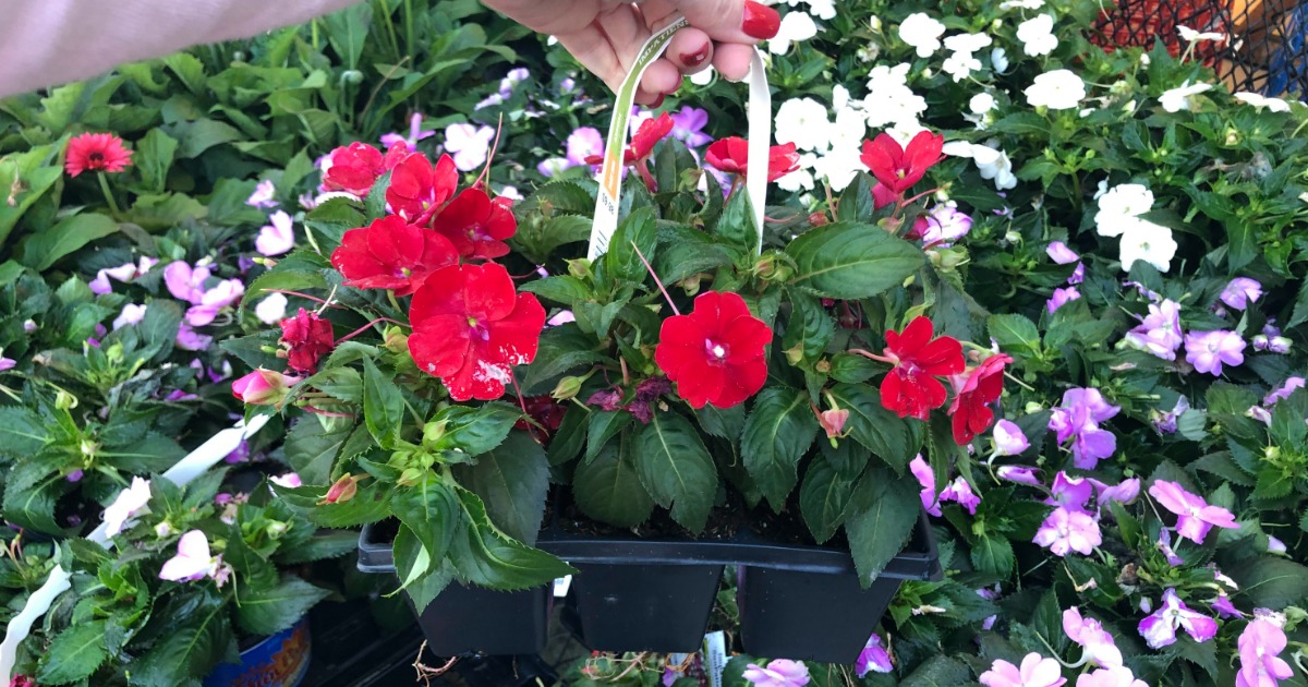 Don't miss your chance to shop this HOT Lowe's Spring Sale