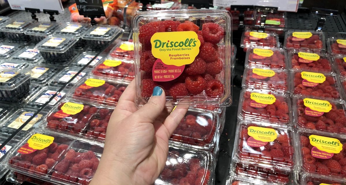 Buy One, Get One 50% Off Fresh Berries at Target