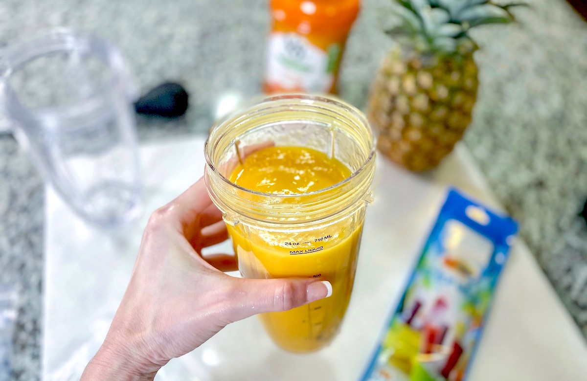 Homemade Otter Pops: Blueberry Coconut & Mango Carrot Recipes