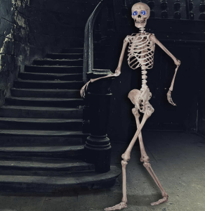 The Best Halloween Skeletons that are Life-Size & Posable