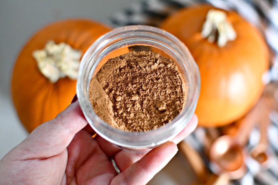 Easy Pumpkin Pie Spice Seasoning Recipe for Holiday Baking | Hip2Save