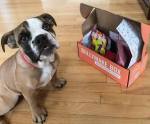 The Best Dog Subscription Boxes Filled with Toys & Treats