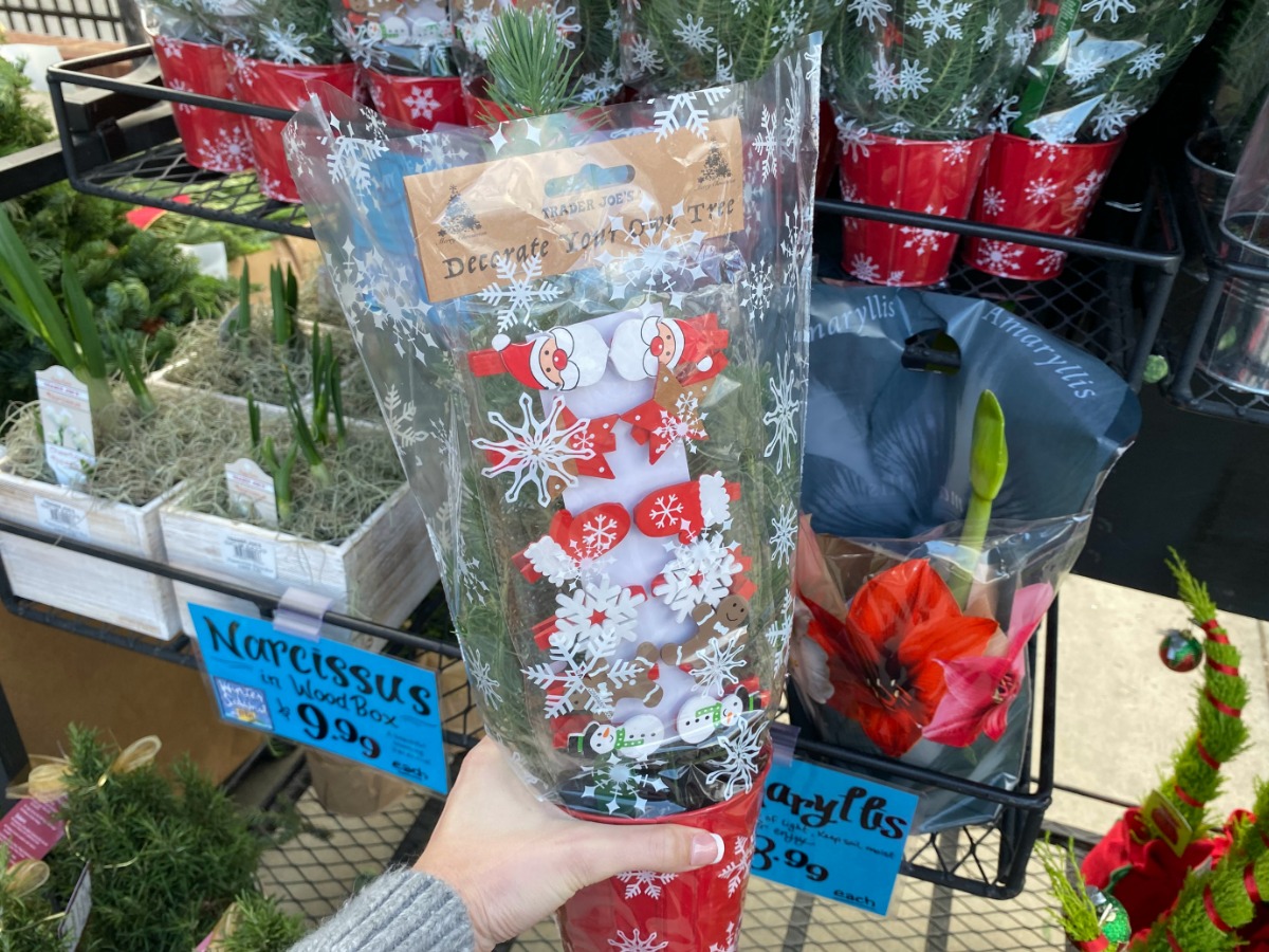 Trader Joe's Sells Grinch-Inspired Christmas Trees